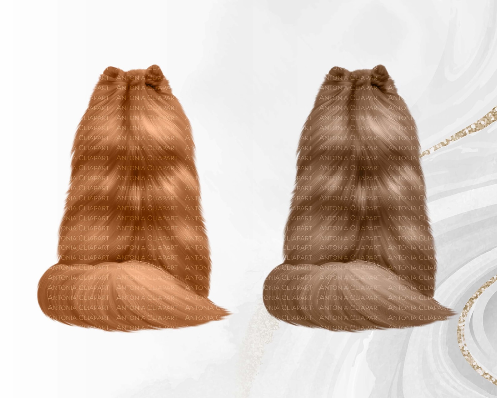 Pomeranian Clipart PNG, Back View Dog Breeds Clipart, Pomeranian Mom ...