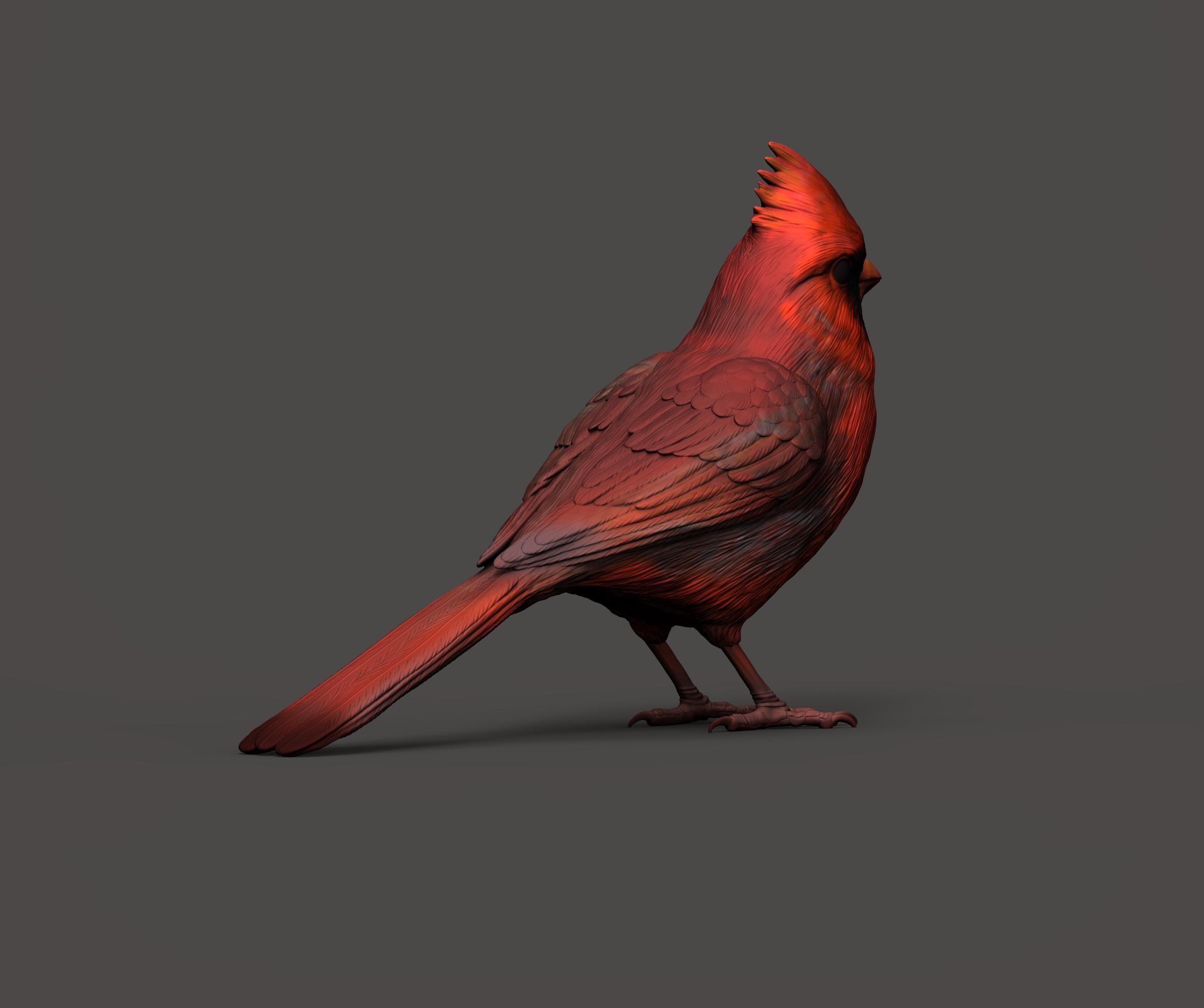Northern Cardinal Figurine – 3D Printed Songbird Statue for Bird Lovers ...