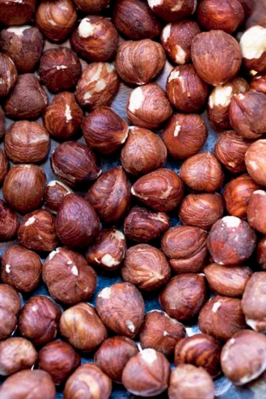 Turkish %100 ORGANIC Certificated Hazelnuts / Filberts Premium Quality ...