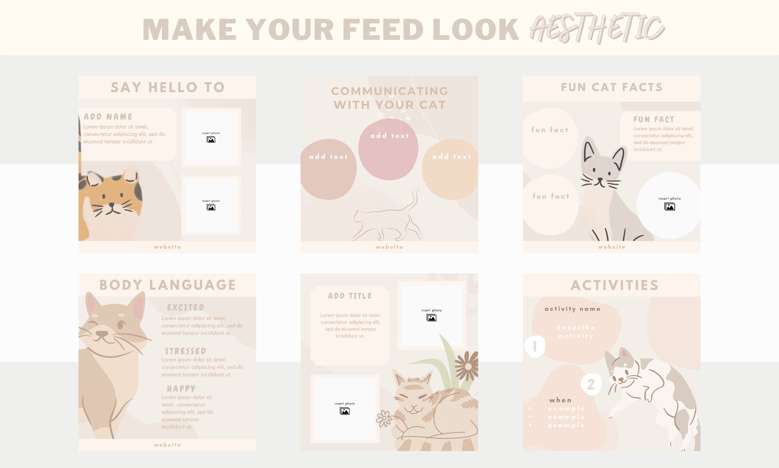 30 Informative Cat Instagram Post Templates | Cat Pet Store Canva Post ...