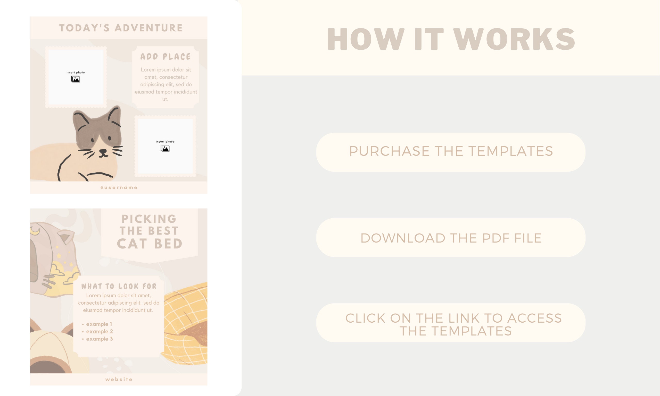 30 Informative Cat Instagram Post Templates | Cat Pet Store Canva Post ...