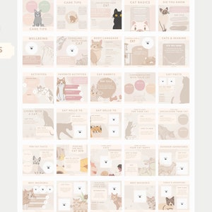 30 Informative Cat Instagram Post Templates | Cat Pet Store Canva Post ...