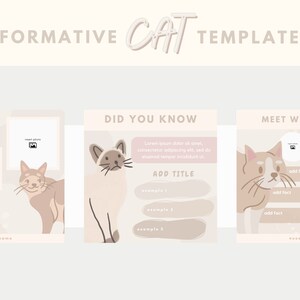 30 Informative Cat Instagram Post Templates | Cat Pet Store Canva Post ...