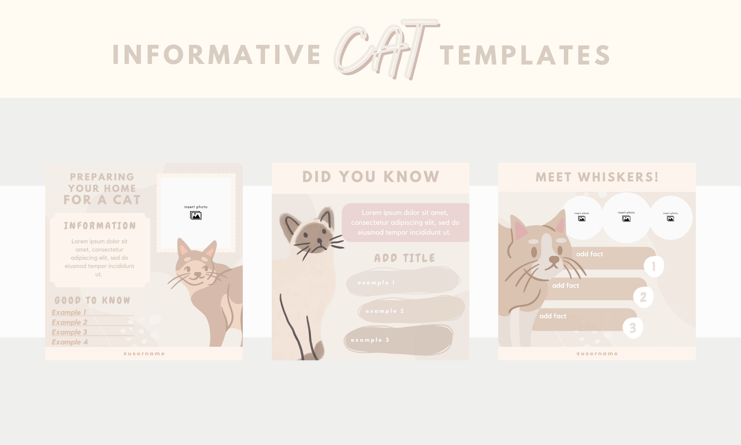 30 Informative Cat Instagram Post Templates | Cat Pet Store Canva Post ...