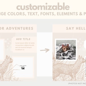 30 Informative Cat Instagram Post Templates | Cat Pet Store Canva Post ...