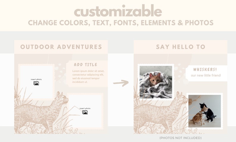 30 Informative Cat Instagram Post Templates | Cat Pet Store Canva Post ...