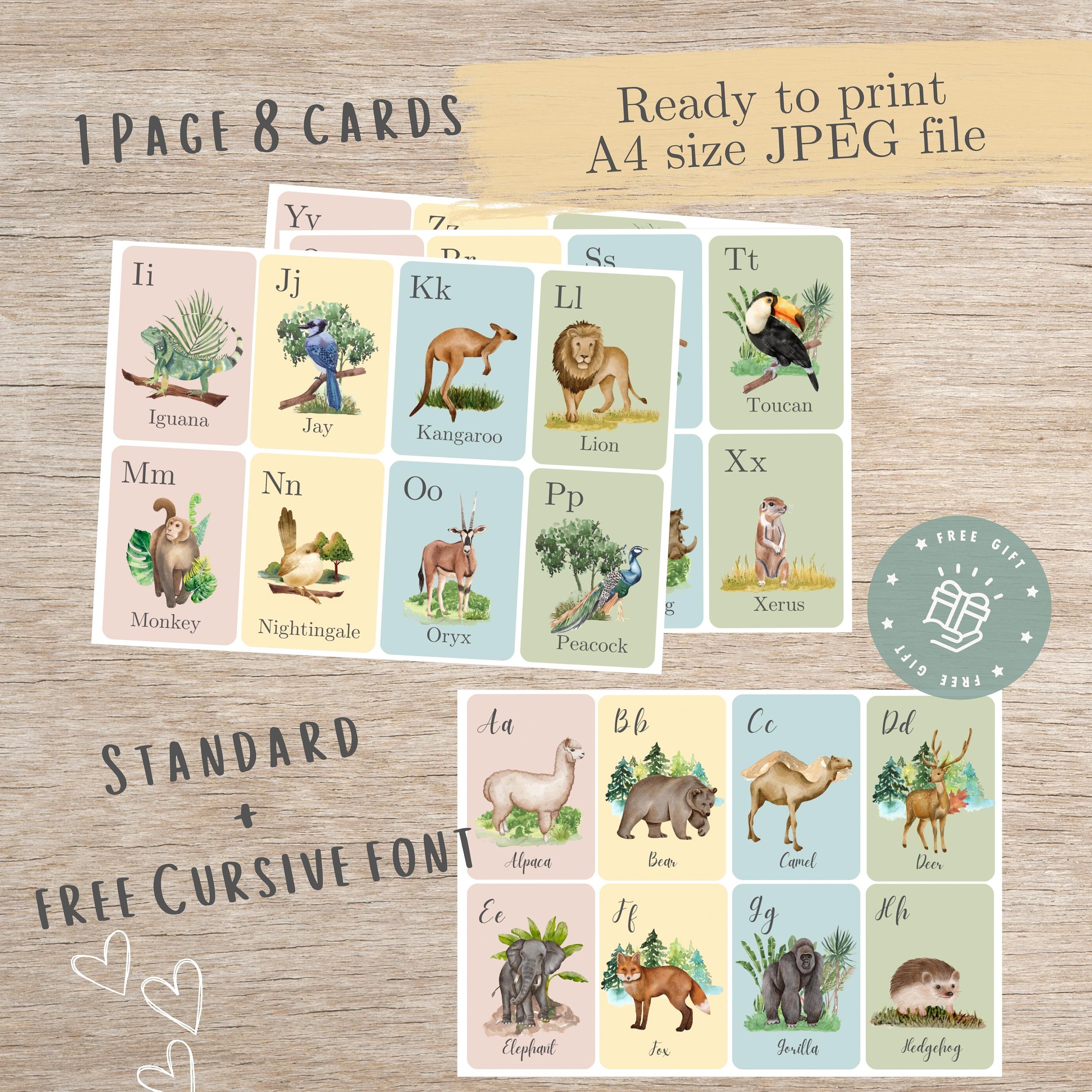 Animal Alphabet Flash Cards PRINTABLE Flash Cards ABC Abc - Etsy