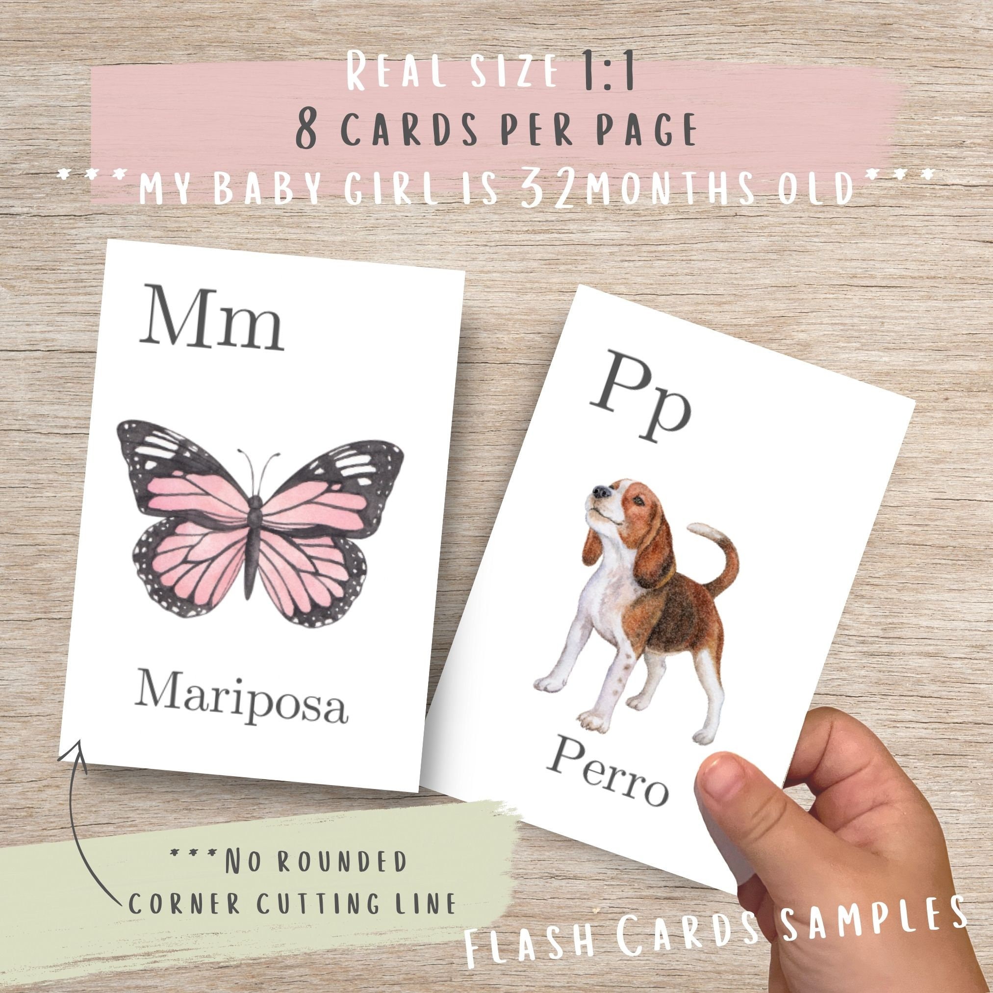 Spanish Alphabet Flash Cards, Printable Alphabet Flash Cards, Printable ...