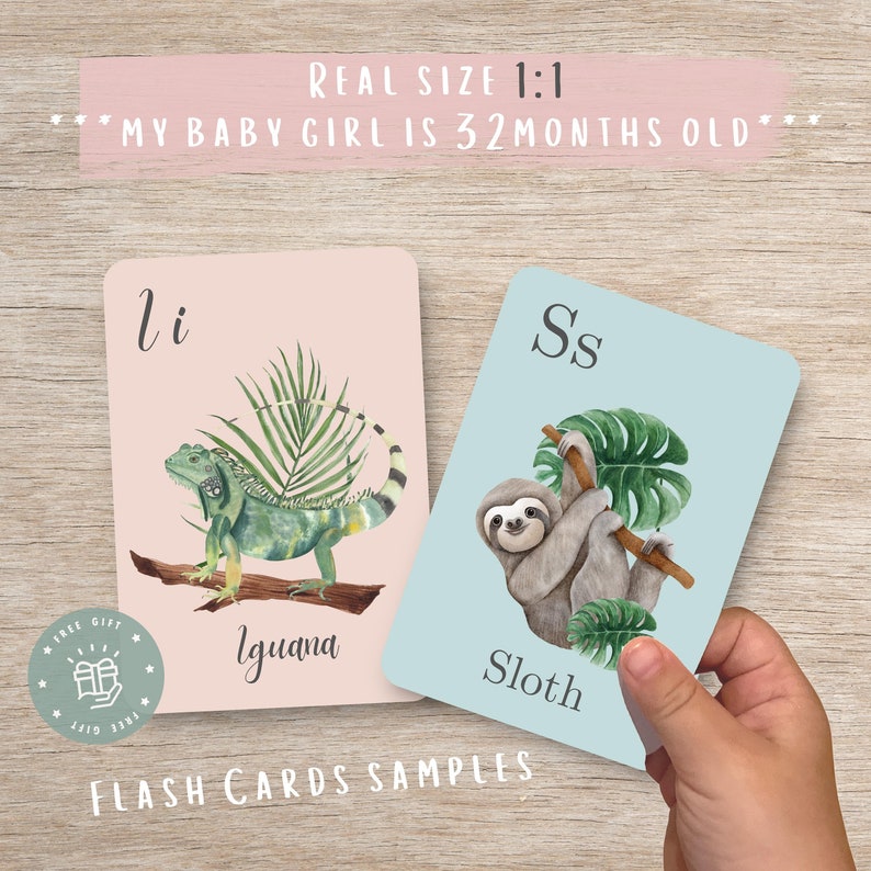 Animal Alphabet Flash Cards PRINTABLE Flash Cards ABC Abc - Etsy