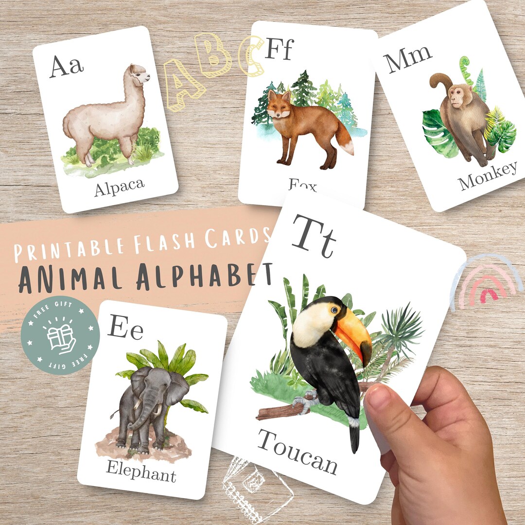 Animal Alphabet Flash Cards PRINTABLE Flash Cards ABC Abc - Etsy UK