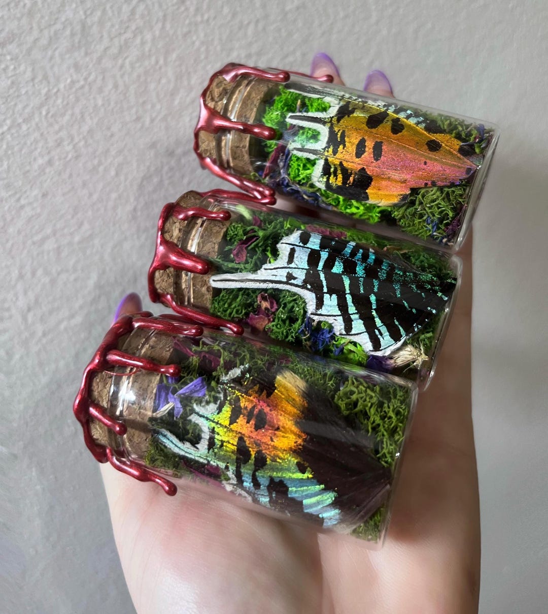 Metamorphosis Spell Jar – Butterfly & Moth Wing Transformation Charm - Etsy