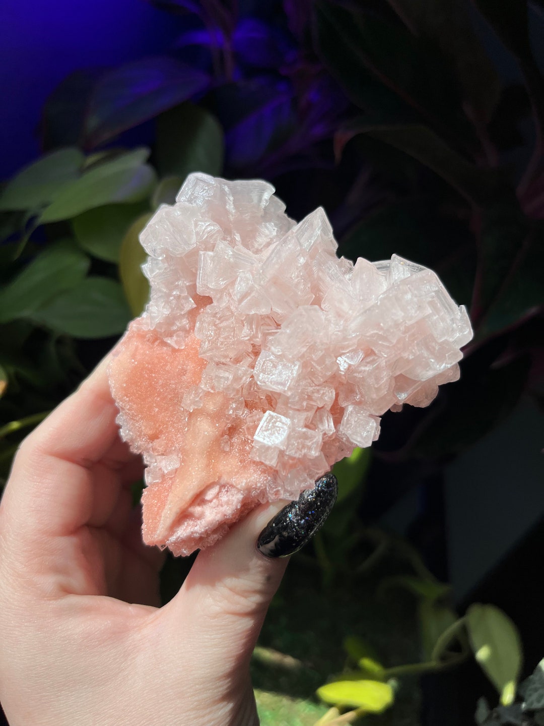 Pink Halite Crystal Specimen B - Etsy