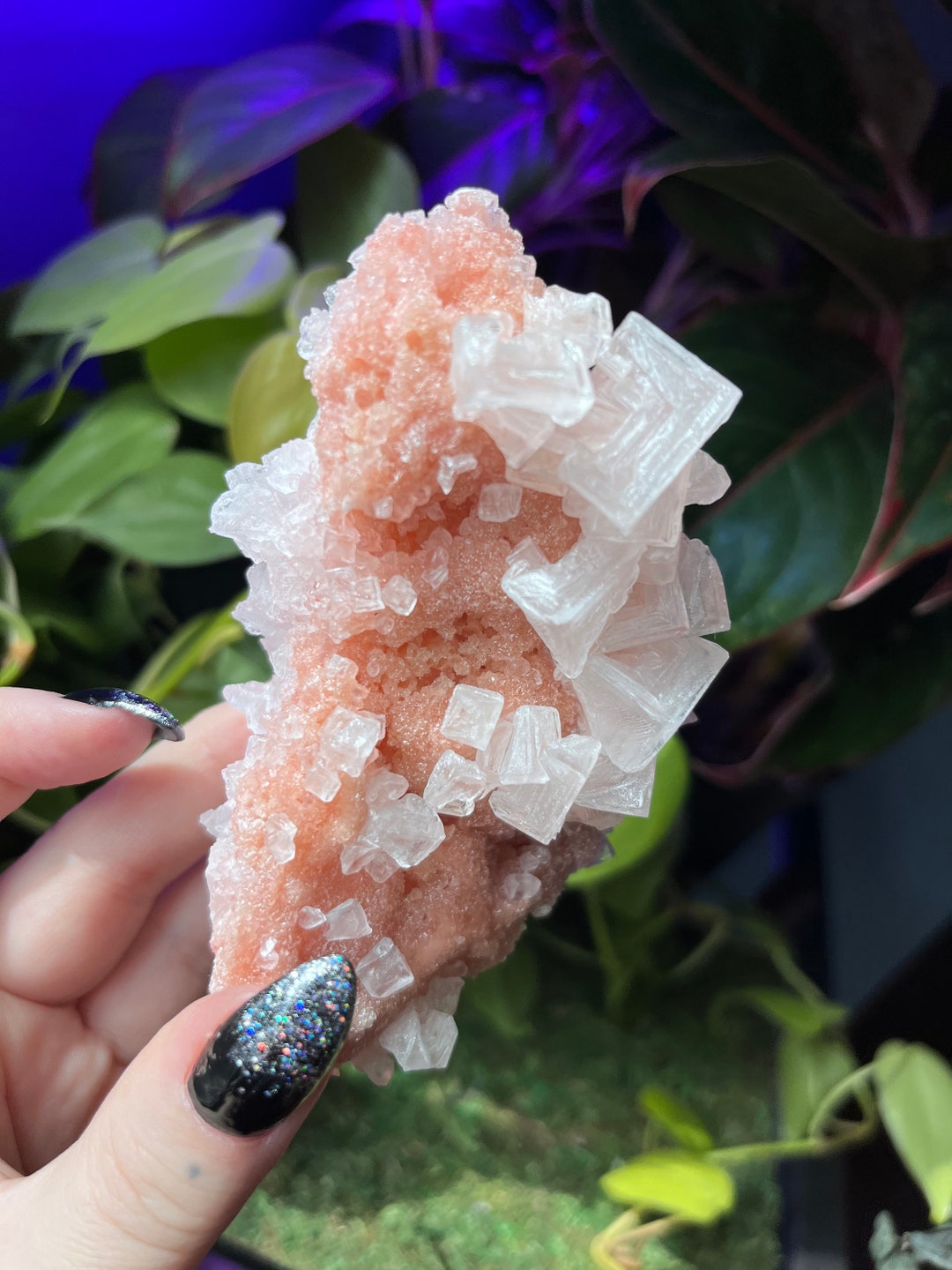 Pink Halite Crystal Specimen - A - Etsy