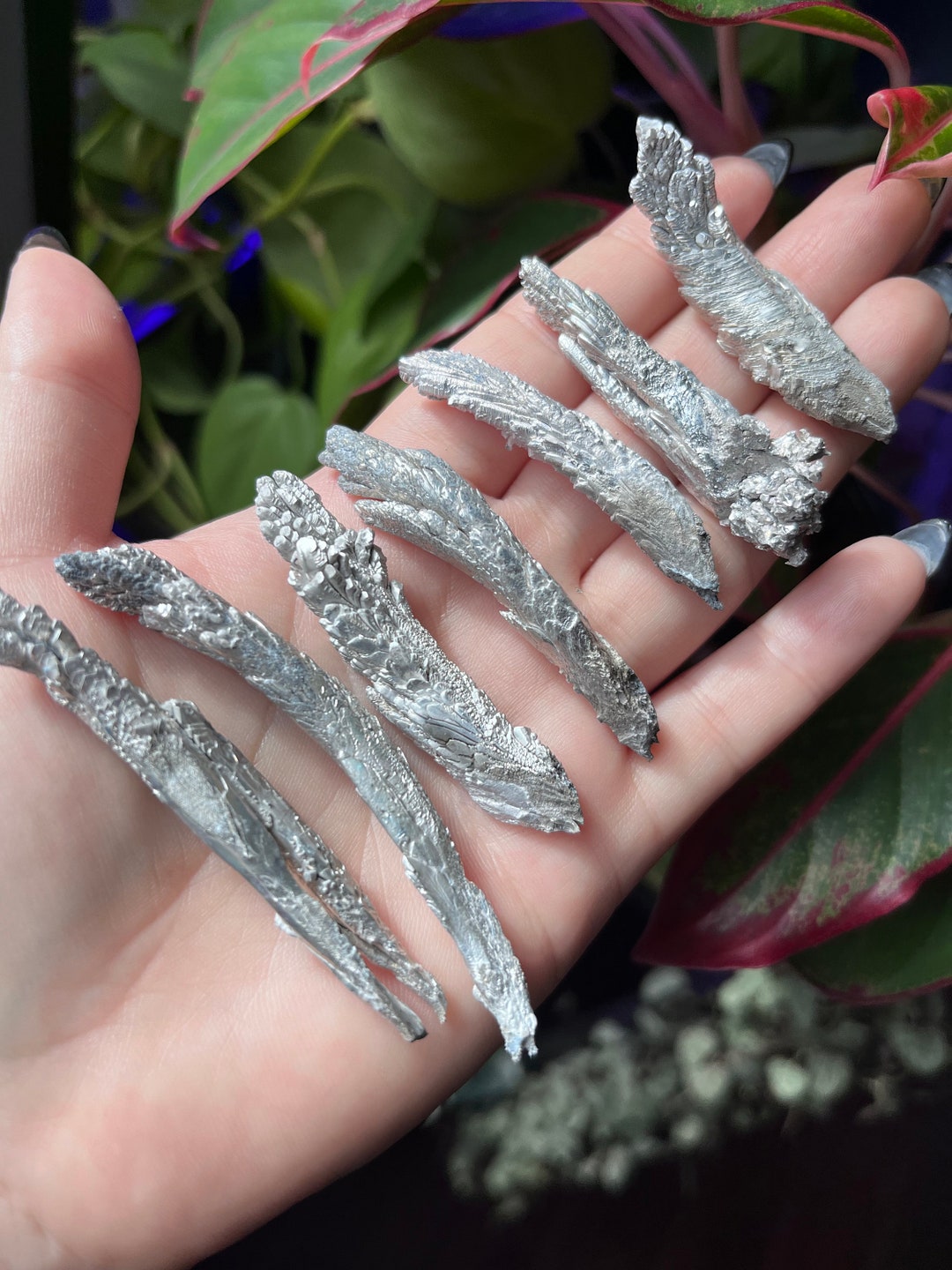 Medium Magnesium Ore Feather Mineral Specimen - Etsy