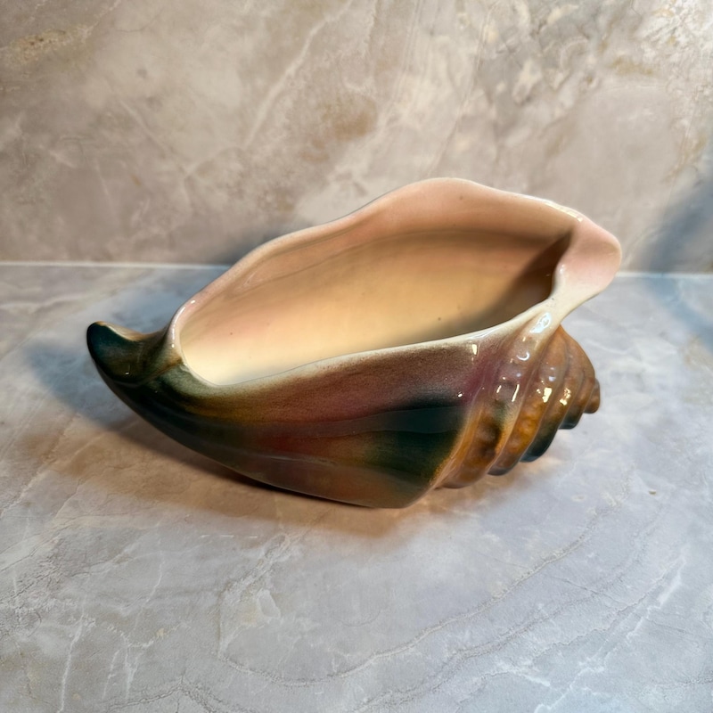 Conch Shell Planter - Etsy