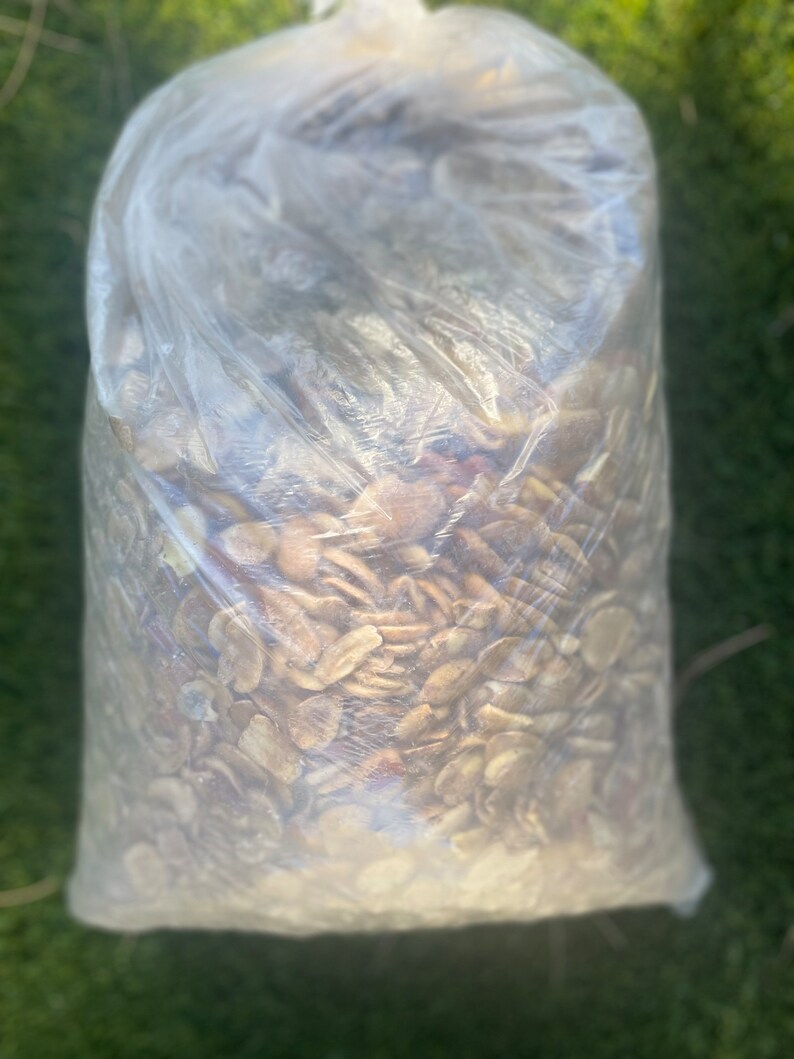 Whole Ogbono Seed |bush Mango, Bush Mango Seeds for Nigerian Ogbono ...