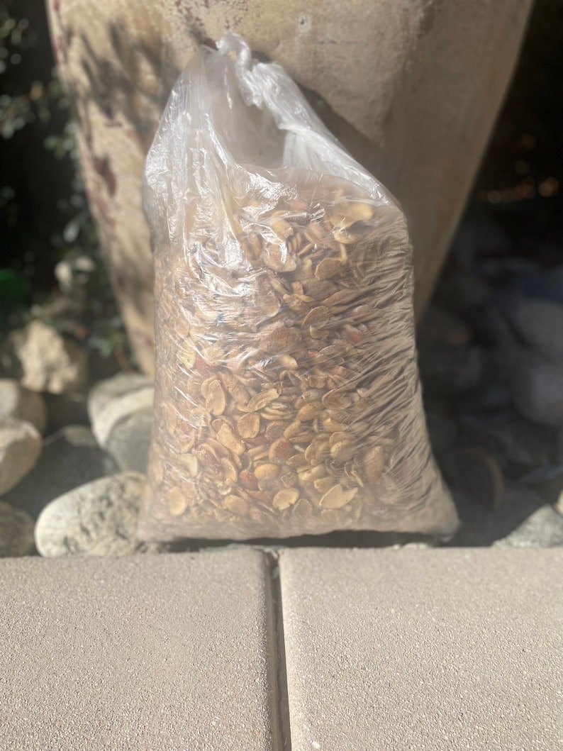 Whole Ogbono Seed |bush Mango, Bush Mango Seeds for Nigerian Ogbono ...