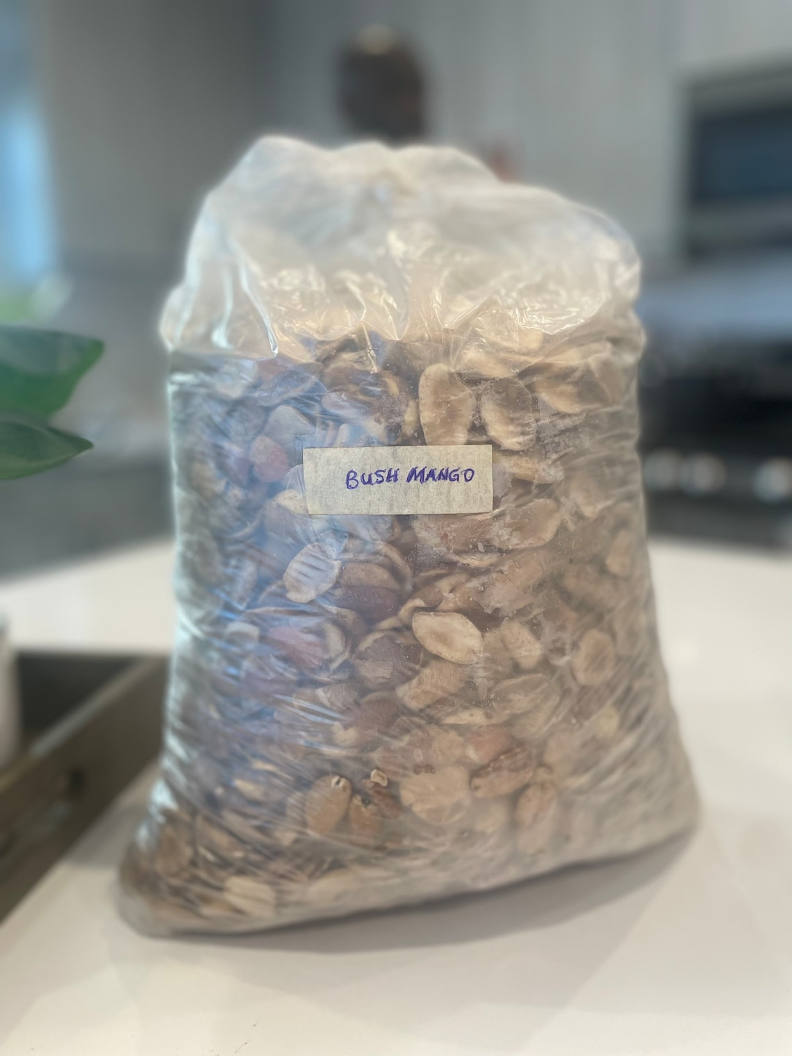 Whole Ogbono Seed |bush Mango, Bush Mango Seeds for Nigerian Ogbono ...