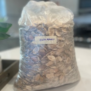 Whole Ogbono Seed |bush Mango, Bush Mango Seeds for Nigerian Ogbono ...