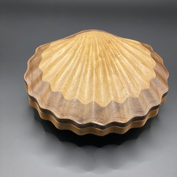 Clam Shell Jewelry - Etsy