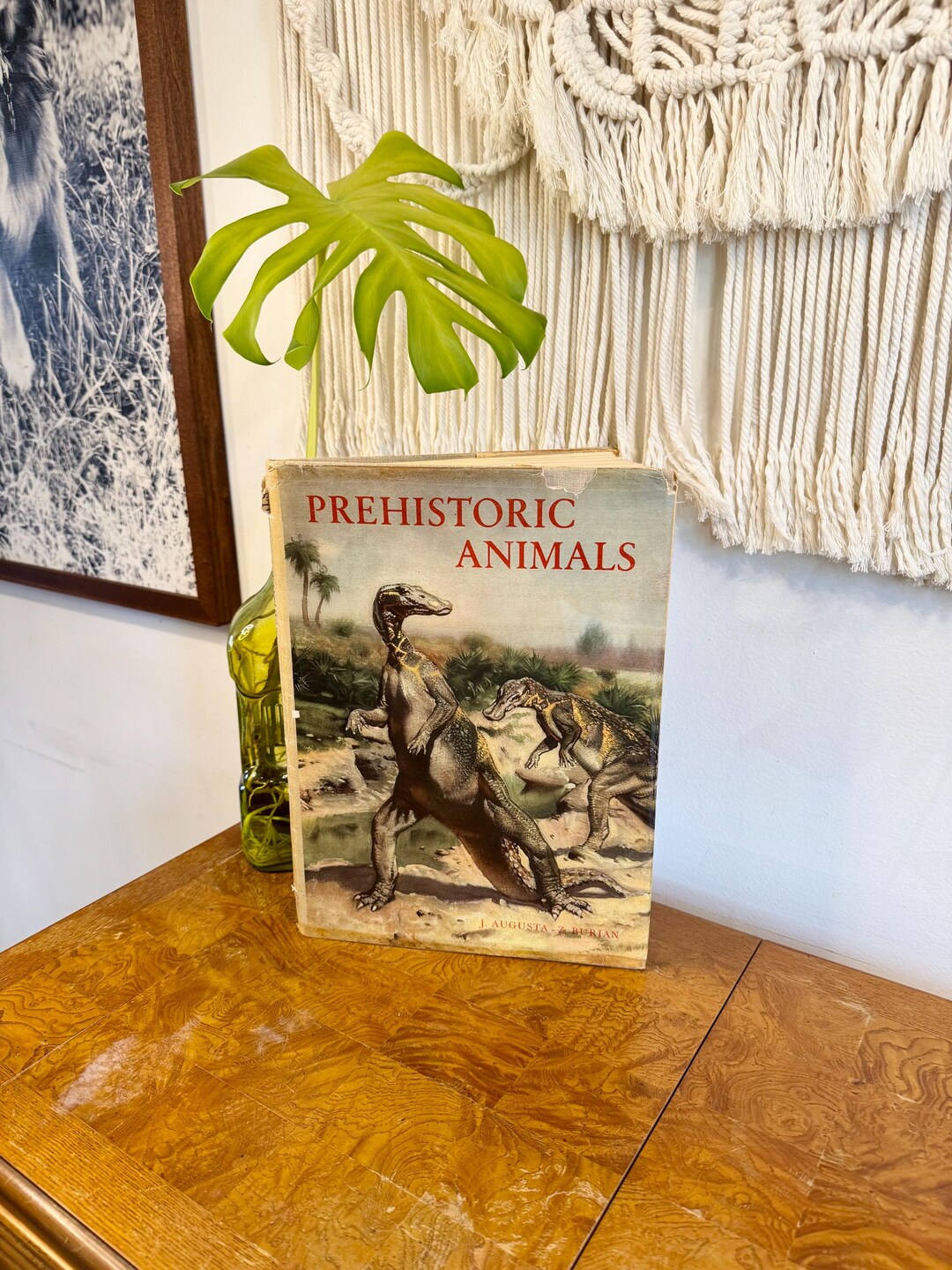 Vintage 1960's "prehistoric Animals" by Dr. Joseph Augusta Illustrated ...