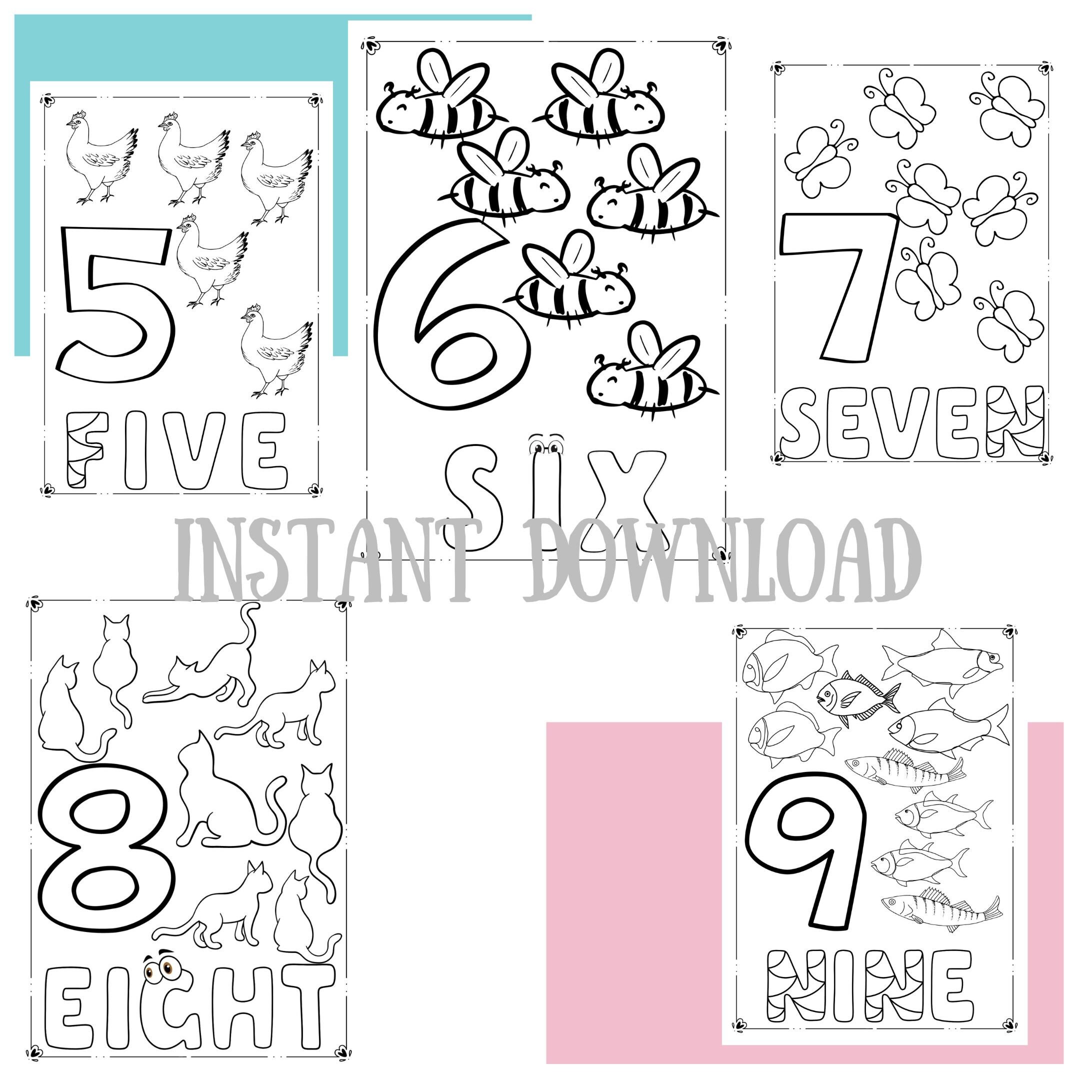 Number Coloring Worksheets | Learn and Count Numbers 0-10 - Etsy