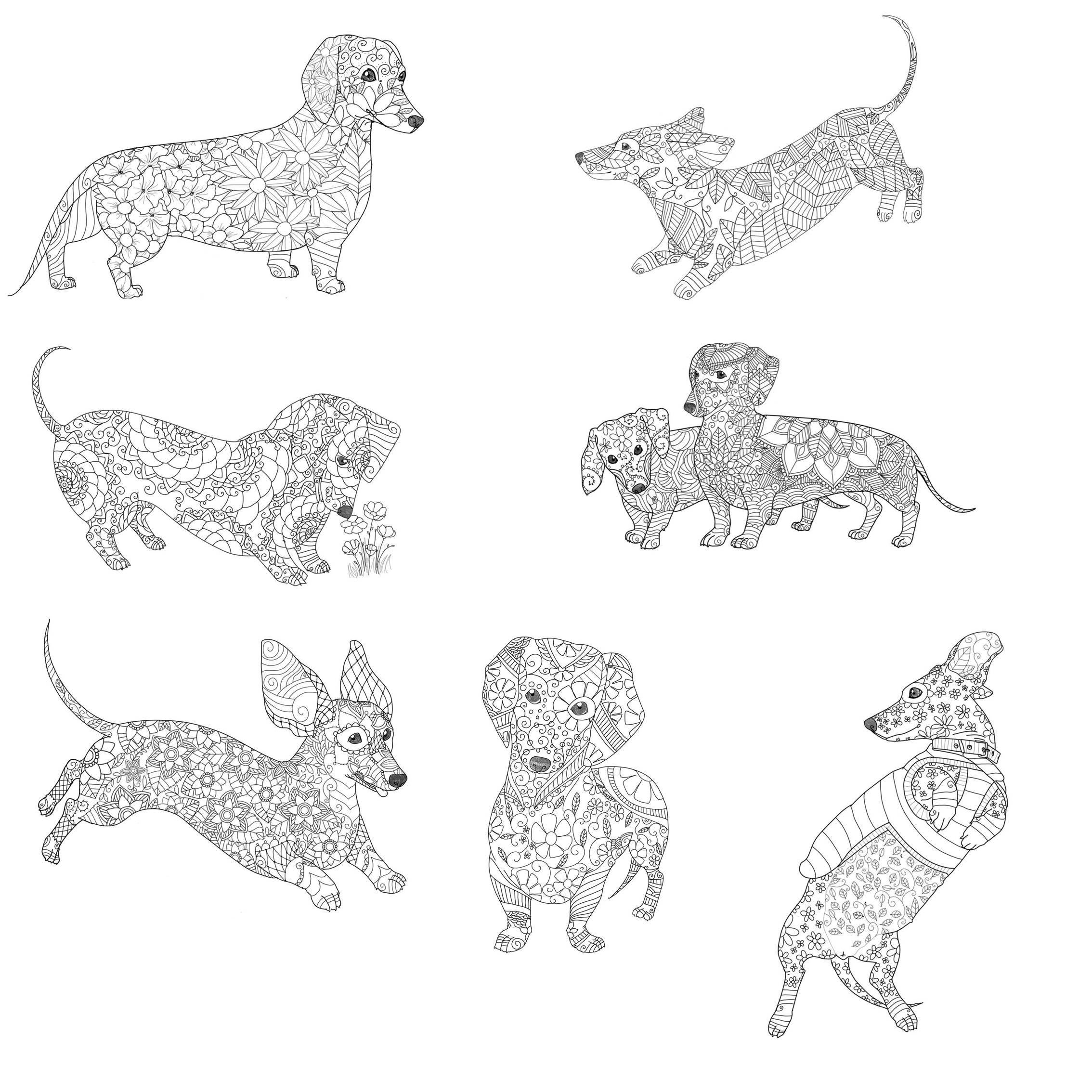 Dachshunds, Printable Coloring Pages for Adults, Printable Instant ...