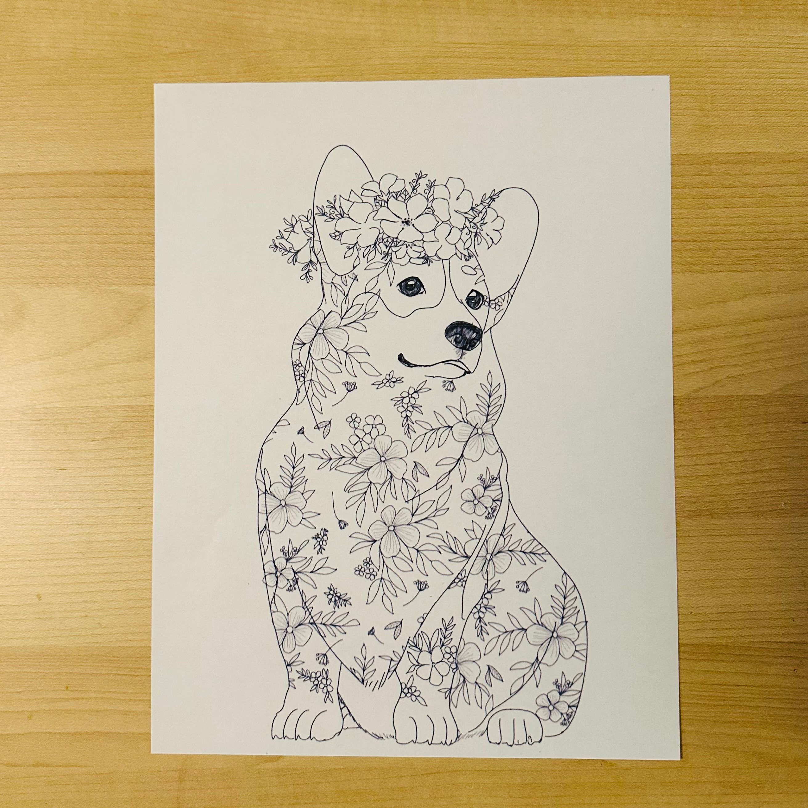 Corgi, Printable Coloring Pages for Adults, Printable Instant Digital ...