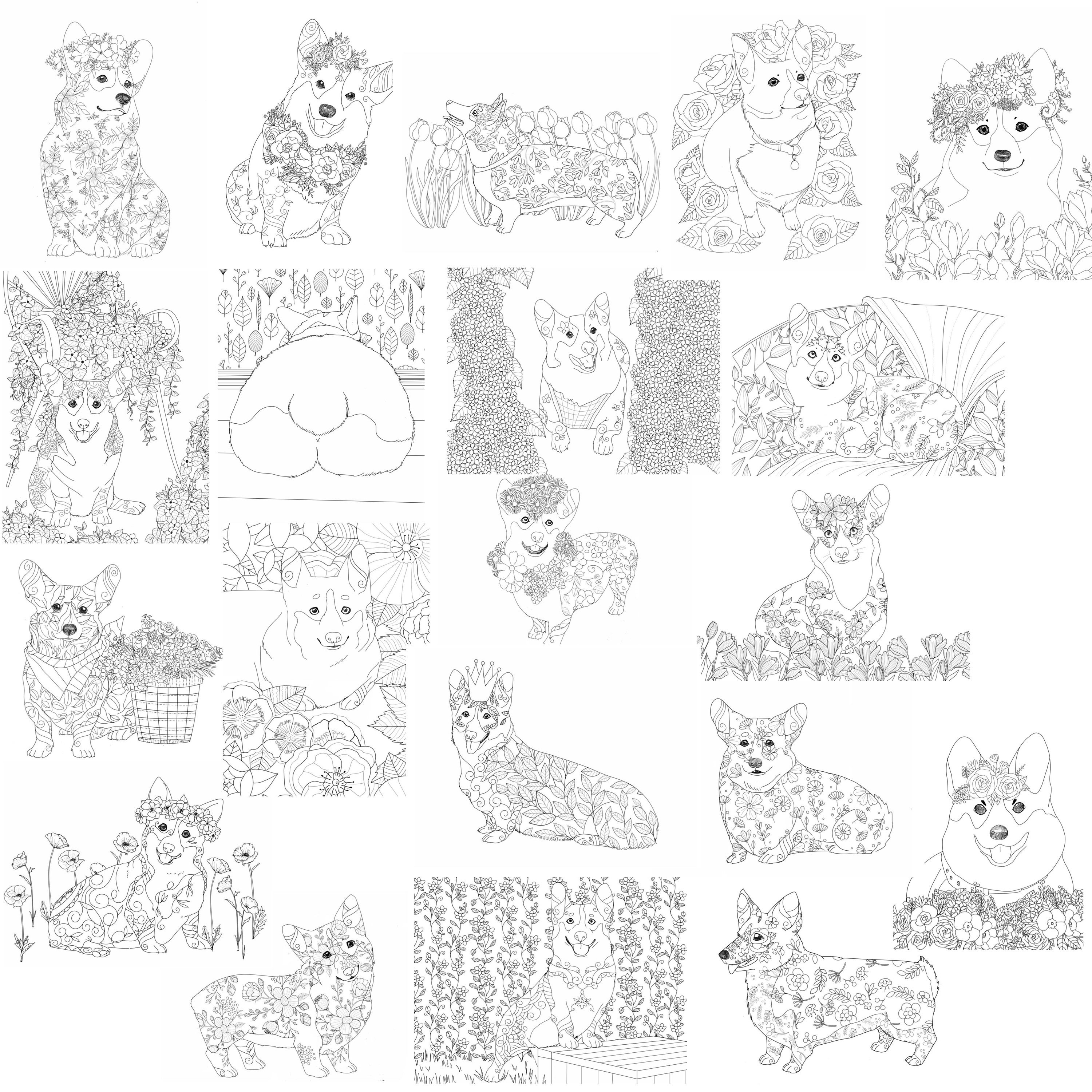 Corgi, Printable Coloring Pages for Adults, Printable Instant Digital ...