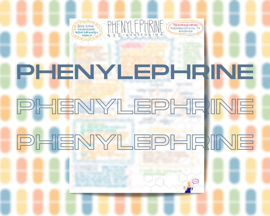 Phenylephrine Instant Download Printable Nursing Pharmacology ...