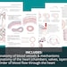 Cardiovascular & Respiratory System PDF Study Guide, Cardiorespiratory ...