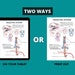 Human Anatomy, Urinary System Printable PDF Notes, Digital Download ...