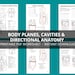 Anatomy Worksheet: Body Planes, Cavities, Directional Terms (PDF ...