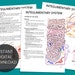 Integumentary System Notes Study Guide , Anatomy Printable Coloring ...