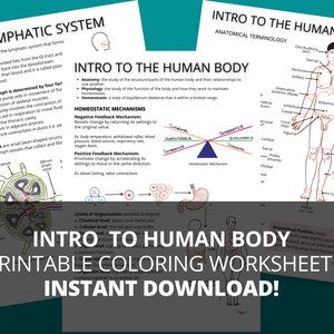 Anatomy Coloring Worksheet: Intro to Human Body (PDF Printable) - Etsy