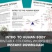 Anatomy Coloring Worksheet: Intro to Human Body (PDF Printable) - Etsy