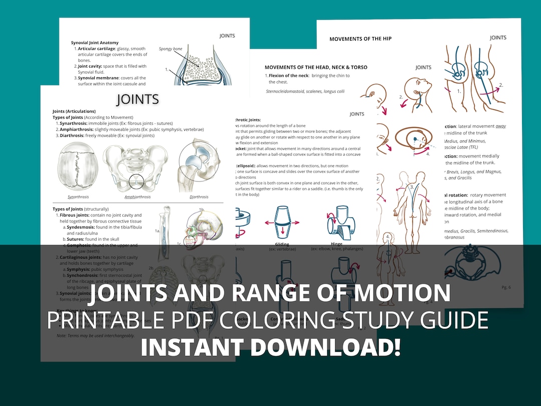 Joints and Range of Motion Printable PDF Study Guide, Printable PDF ...