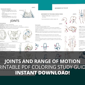 Joints and Range of Motion Printable PDF Study Guide, Printable PDF ...