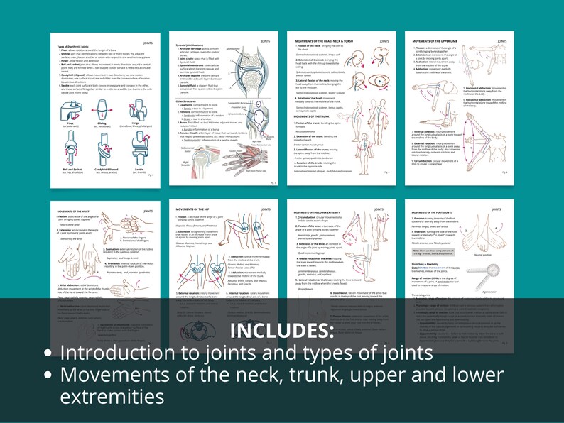 Joints and Range of Motion Study Guide (printable PDF) - Etsy