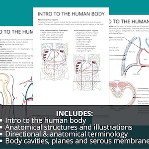 Anatomy Coloring Worksheet: Intro to Human Body (PDF Printable) - Etsy