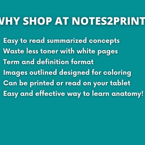 Nephron Anatomy Study Guide: Renal Electrolytes (PDF) - Etsy