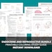 Endocrine & Reproductive System PDF Printable Study Guide Bundle ...