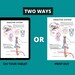 GI Anatomy, Digestive System Study Guide, GI Anatomy Printable Notes ...