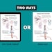 Cell Membrane Transport Notes, Printable Notes Coloring Worksheet, Cell ...