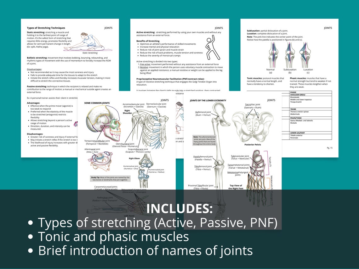 Joints and Range of Motion Printable PDF Study Guide, Printable PDF ...