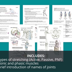 Joints and Range of Motion Printable PDF Study Guide, Printable PDF ...