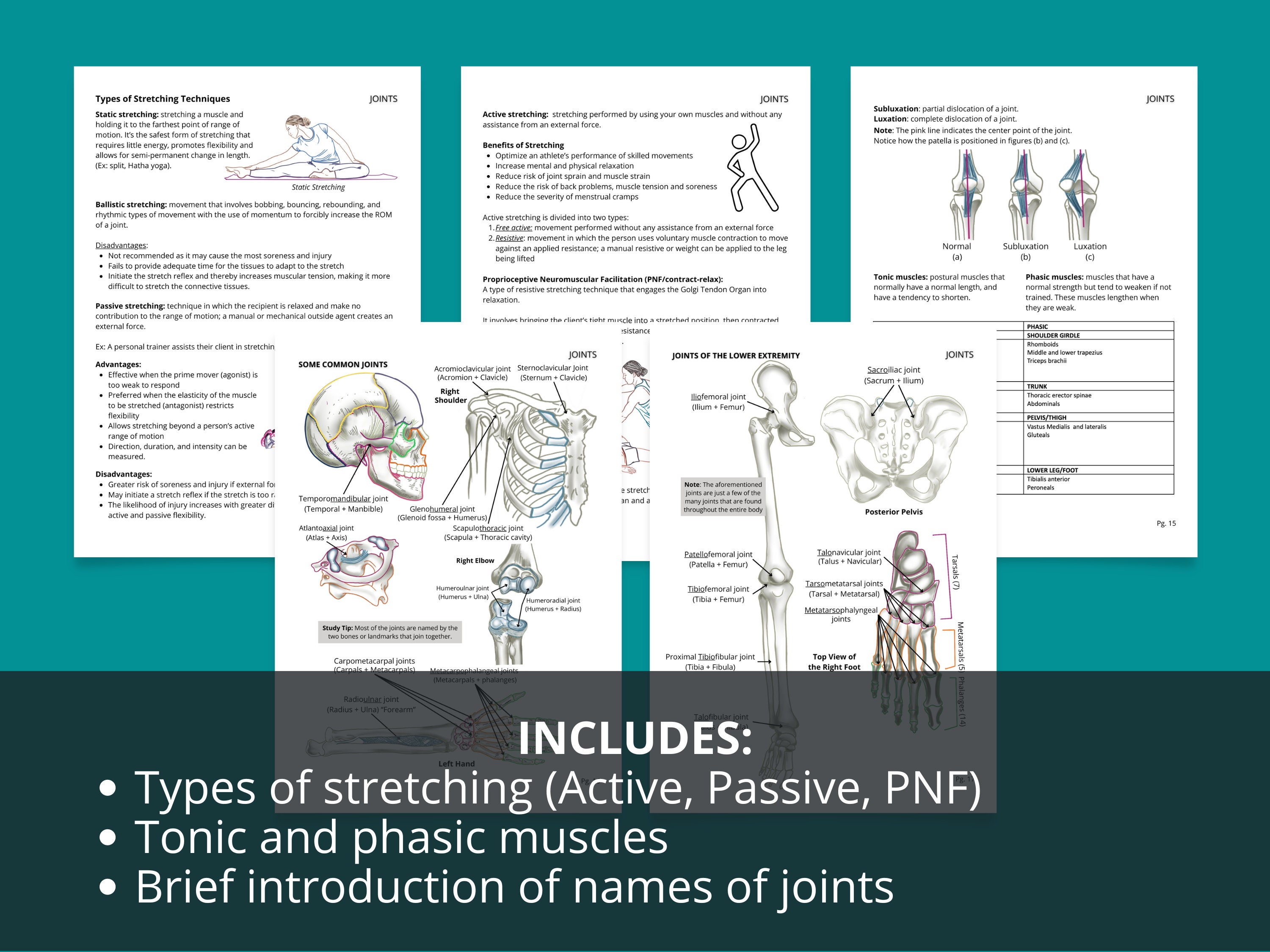 Joints and Range of Motion Printable PDF Study Guide, Printable PDF ...