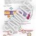 Cell Membrane Transport Notes, Printable Notes Coloring Worksheet, Cell ...