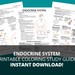 Endocrine System PDF Printable Notes, Endocrine System Study Guide ...