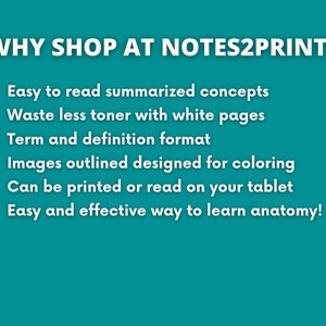 Endocrine & Reproductive System PDF Printable Study Guide Bundle ...